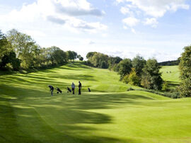 Home :: Founded in 1906 and exists to represent male golfers in the ...